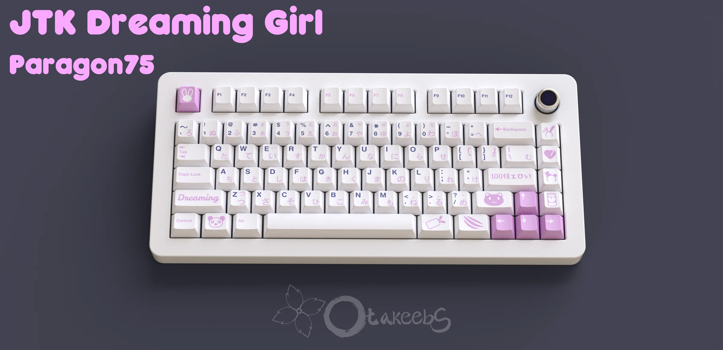 JTK Dreaming Girl 兔女郎 - zFrontier 装备前线