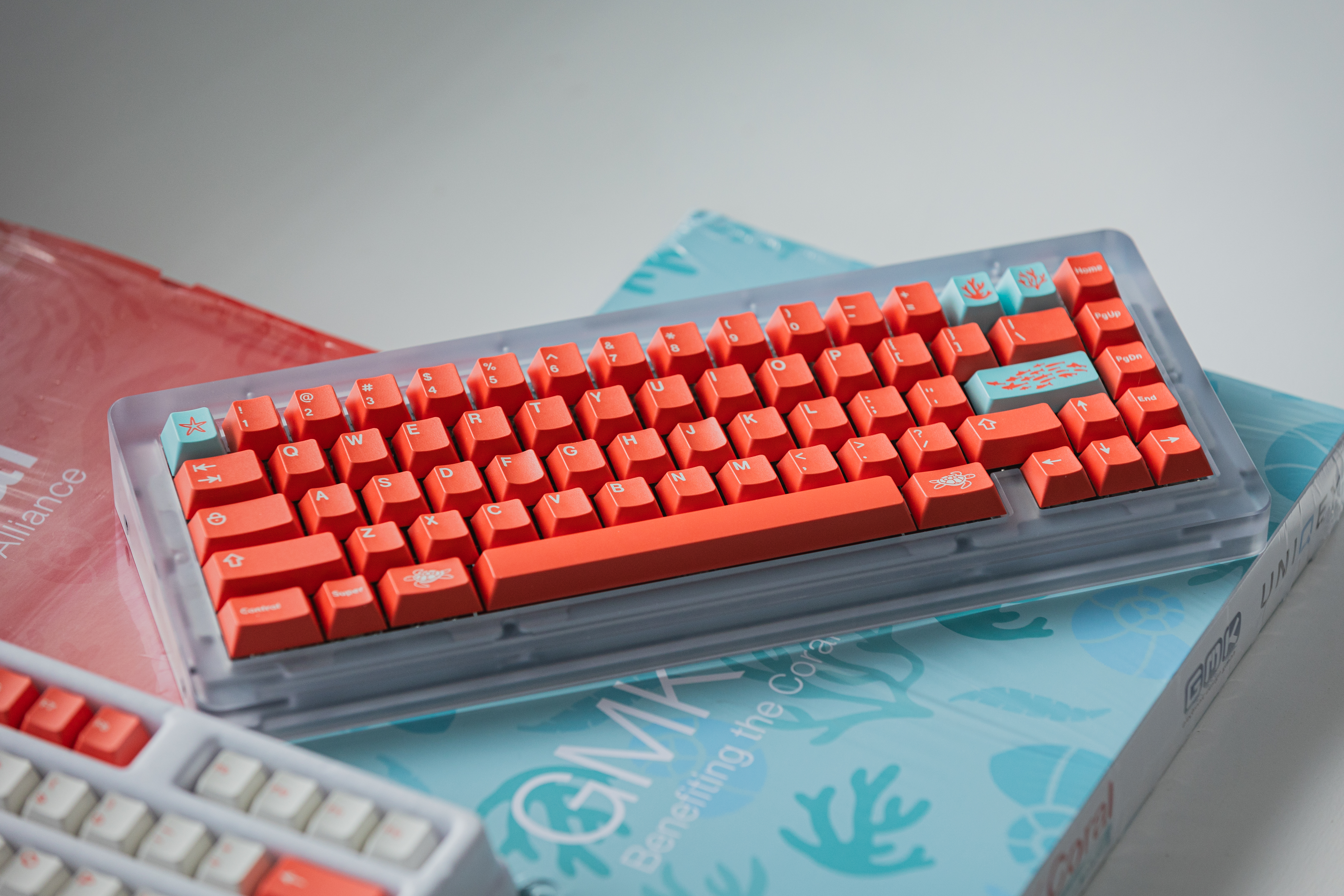 GMK Coral 珊瑚 R2 键帽 - zFrontier 装备前线