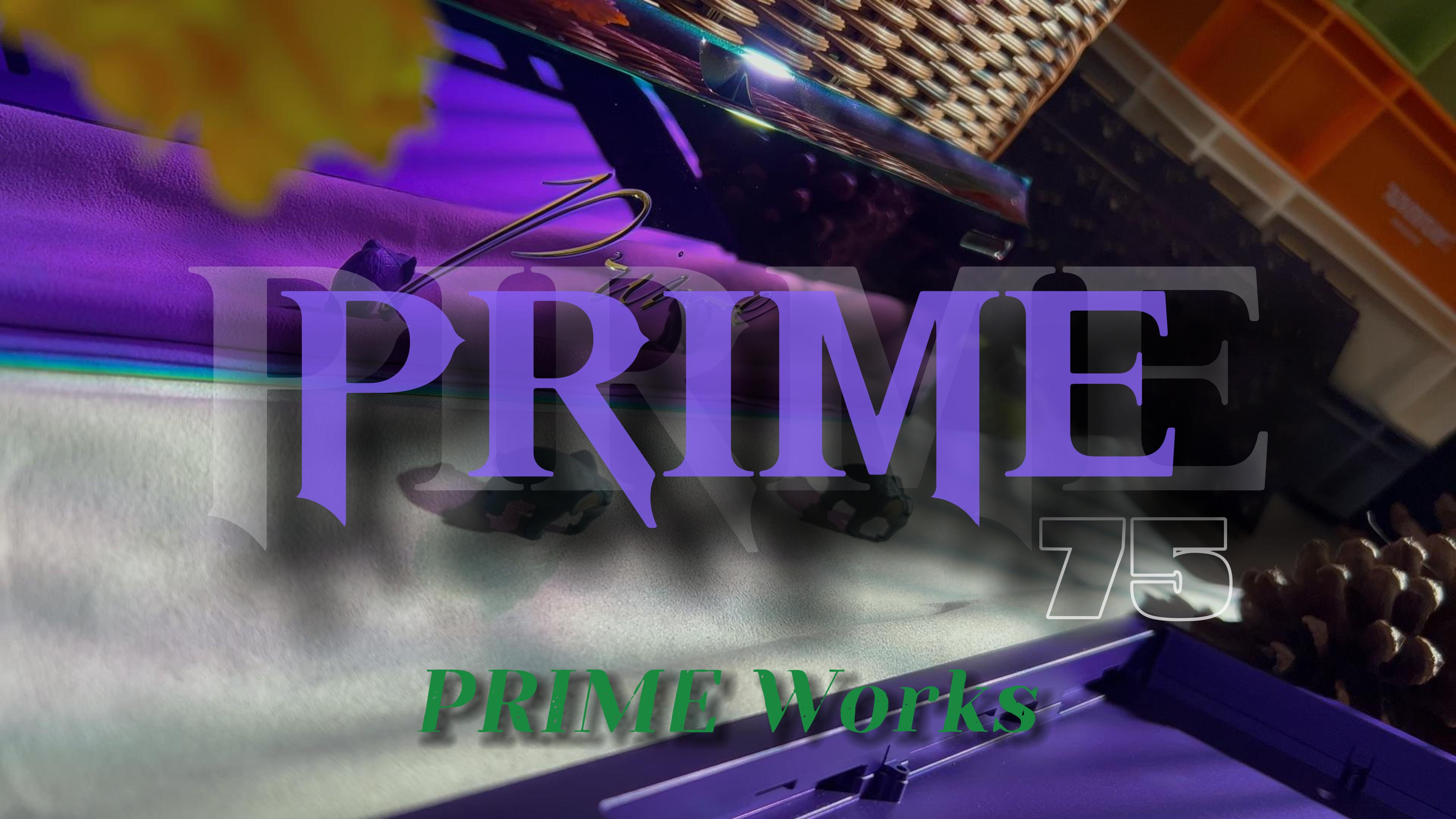 One life 生而尽愉 | PRIME 75 | 深紫 | PRIME Works | 古神祭祀 | 咖啡师轴 - zFrontier 装备前线