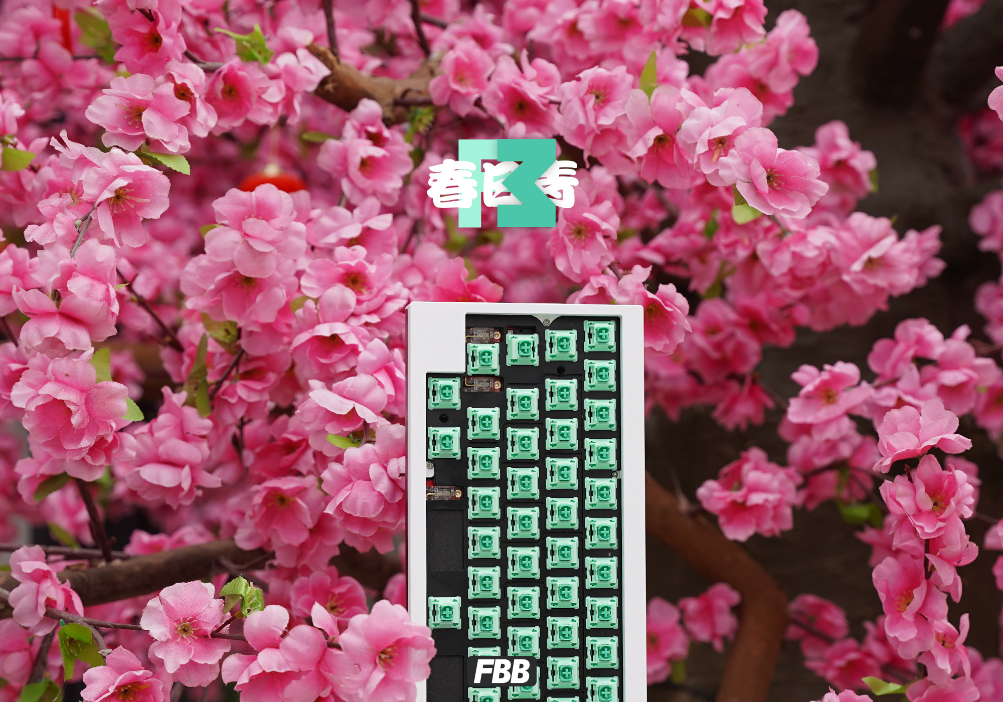 【GB】F3-春日青轴 换上喜欢的颜色 赴一场春天的约会 - zFrontier 装备前线