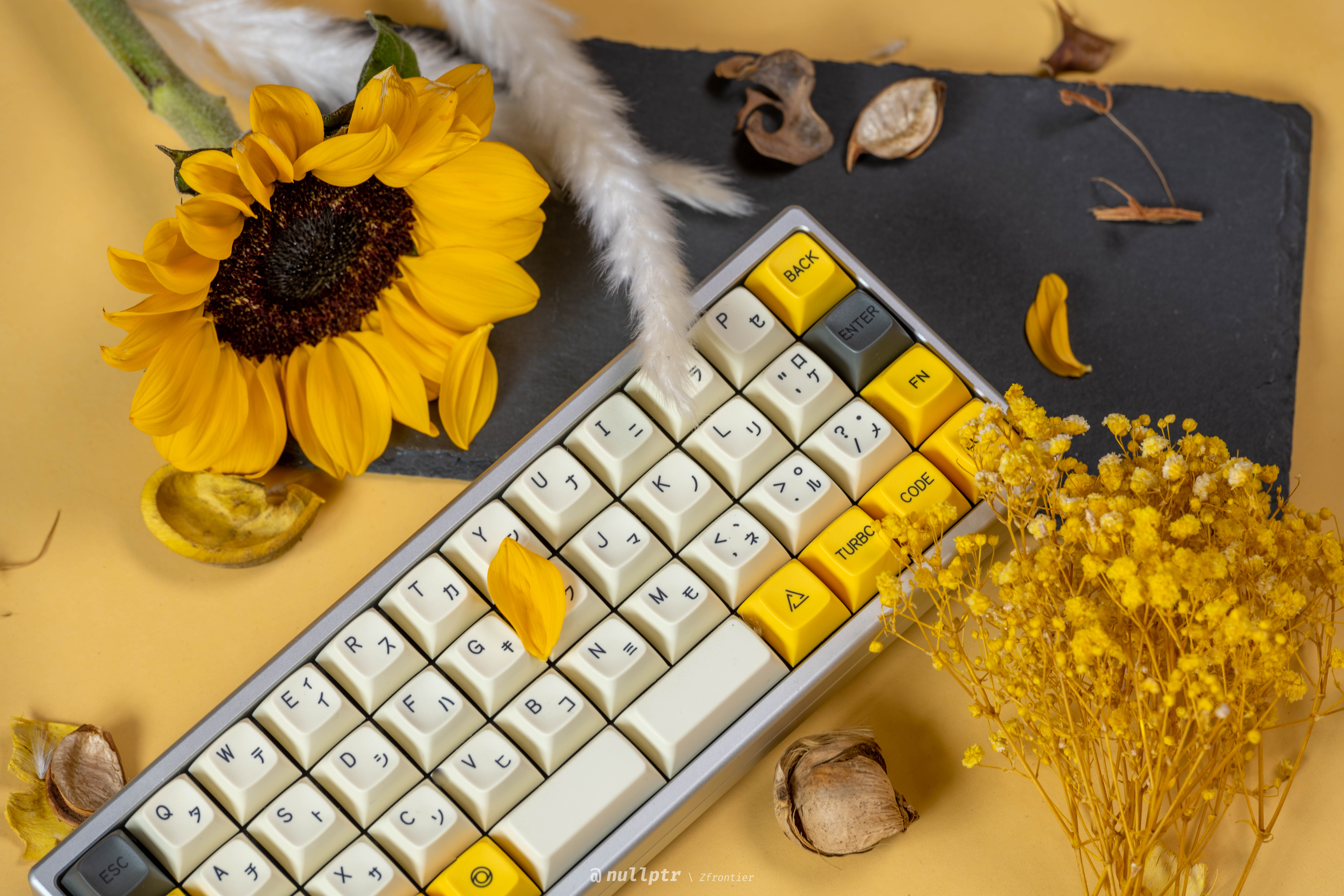 Delta50 & MT3 Serika | 赞美芹门🙏 - zFrontier 装备前线