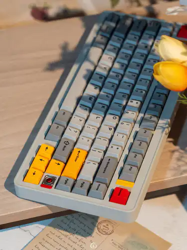 TickType Evo75 小象灰 这次也是很荣幸获得了这次evo75众测的机会，evo75作为TickType的第二把键盘继续保持了evo80的高性价比成品键盘路线，键盘外壳依旧是磁吸加碰 ...